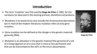 spontaneous and induced mutations | PPTX