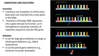 spontaneous and induced mutations | PPTX