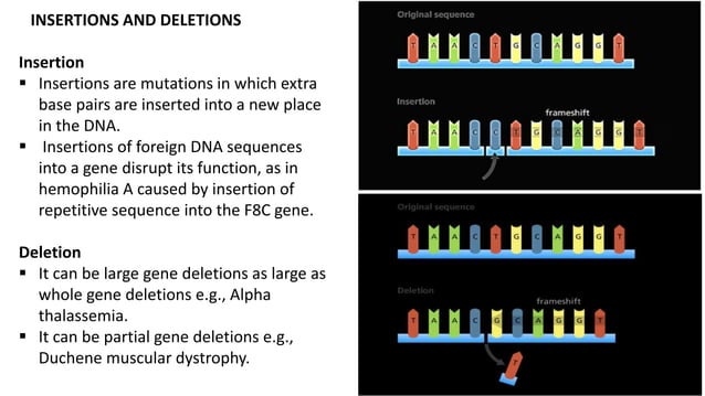 spontaneous and induced mutations | PPTX