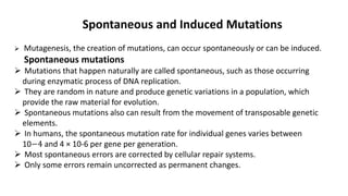 spontaneous and induced mutations | PPTX