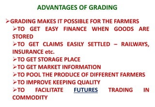 11 standards of agriculture produces d | PPTX | Agriculture | Industries