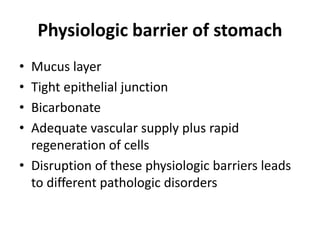 11 stomach and duodenum | PPTX