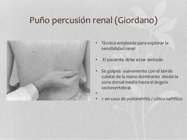 11 tecnicas de exploración