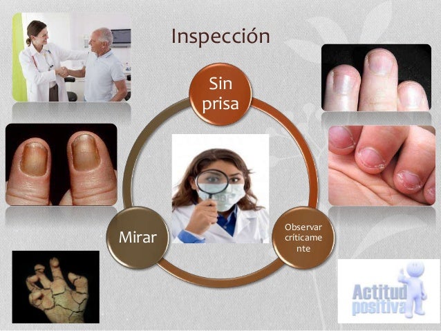 11 tecnicas de exploración