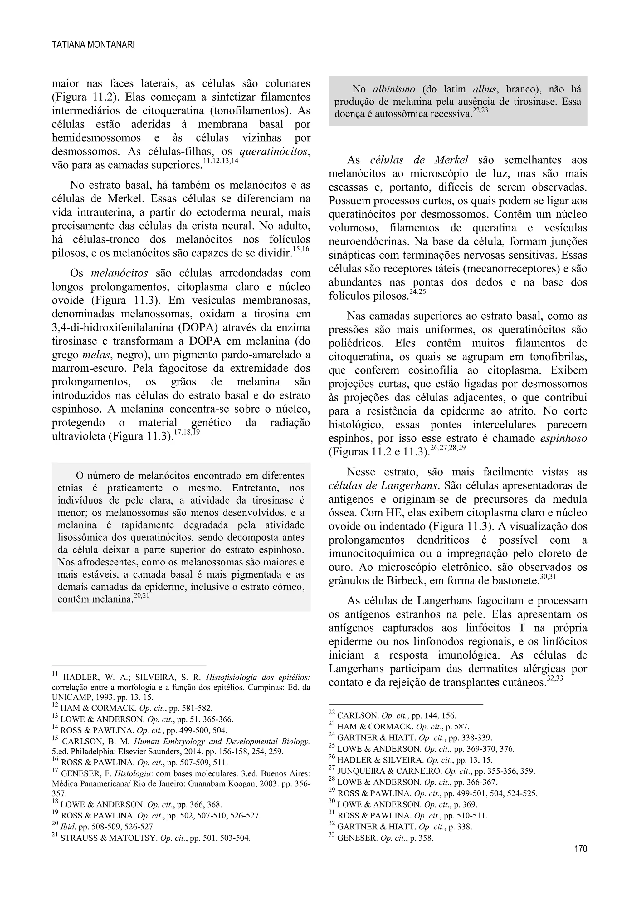 11 tegumen pdf estudo