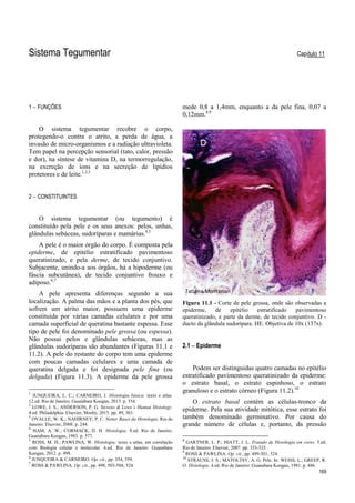 11 Tegumen Pdf Estudo Pdf