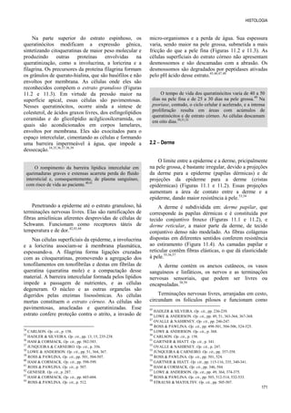 11 tegumen pdf estudo | PDF
