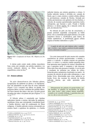 11 tegumen pdf estudo | PDF