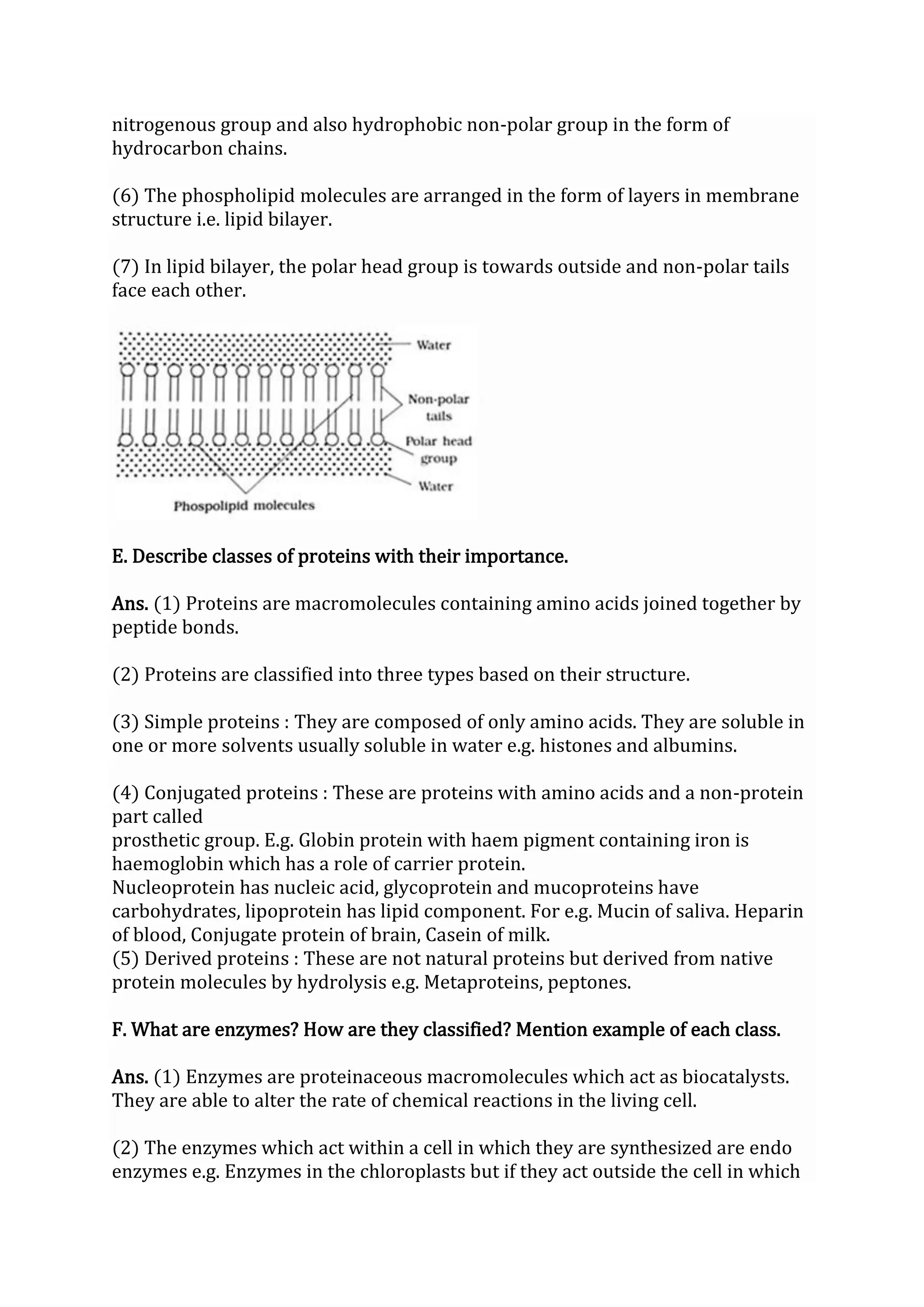 11th biomolecules question bank.pdf