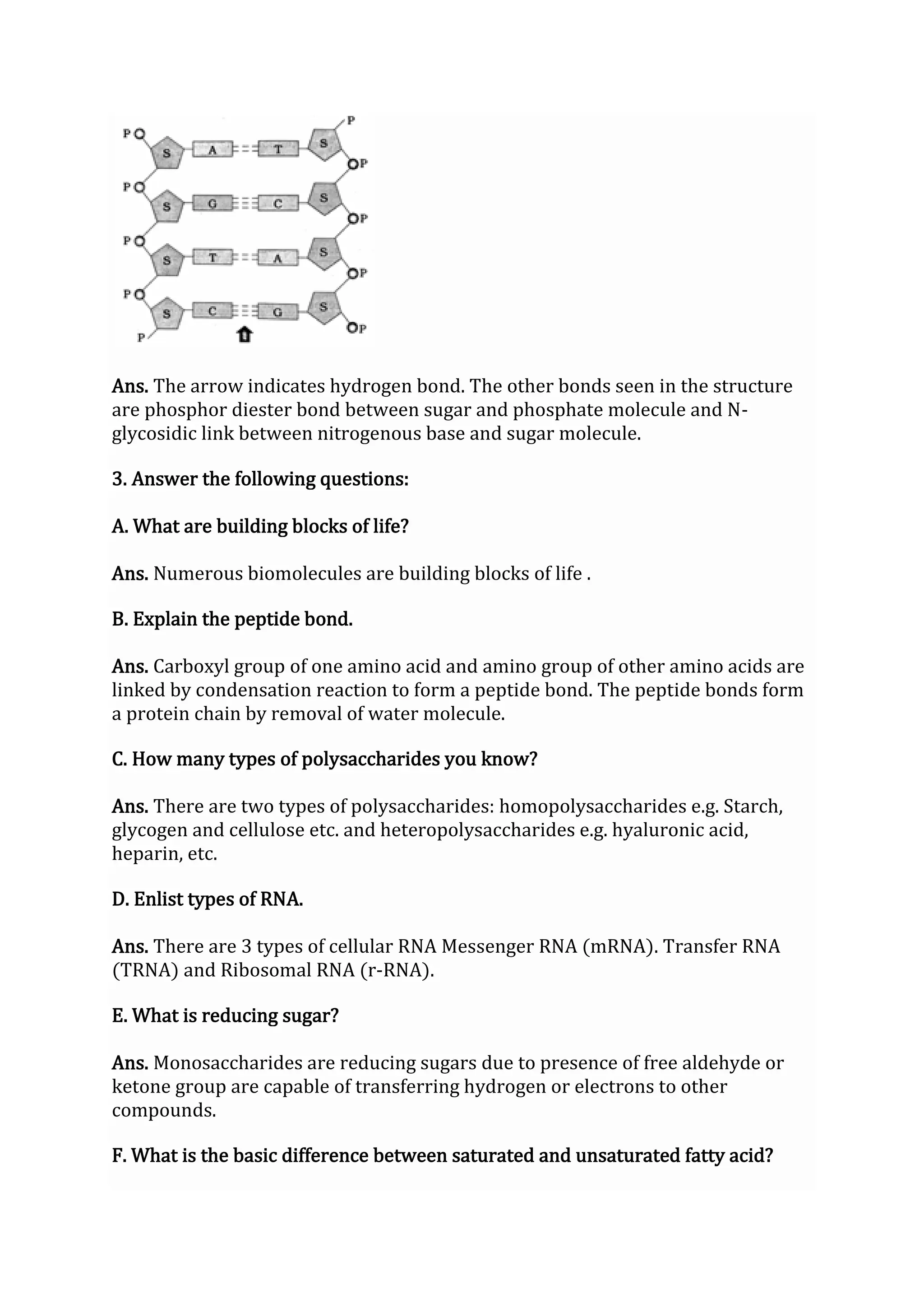 11th biomolecules question bank.pdf