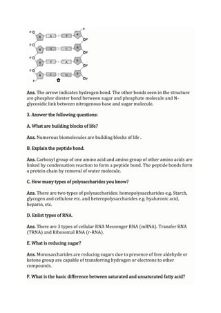 11th biomolecules question bank.pdf
