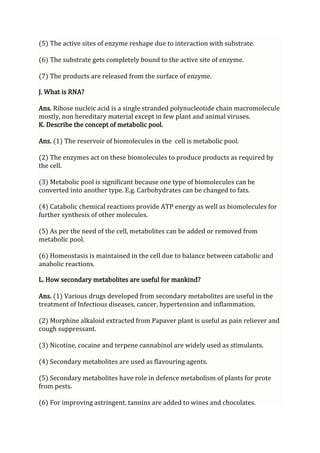 11th biomolecules question bank.pdf