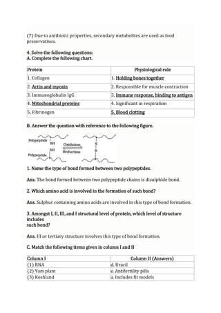 11th biomolecules question bank.pdf