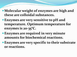 11th enzymes | PPT