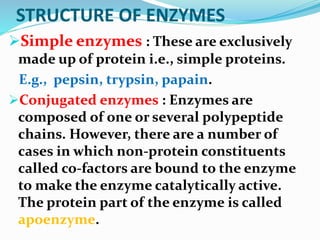 11th enzymes | PPTX
