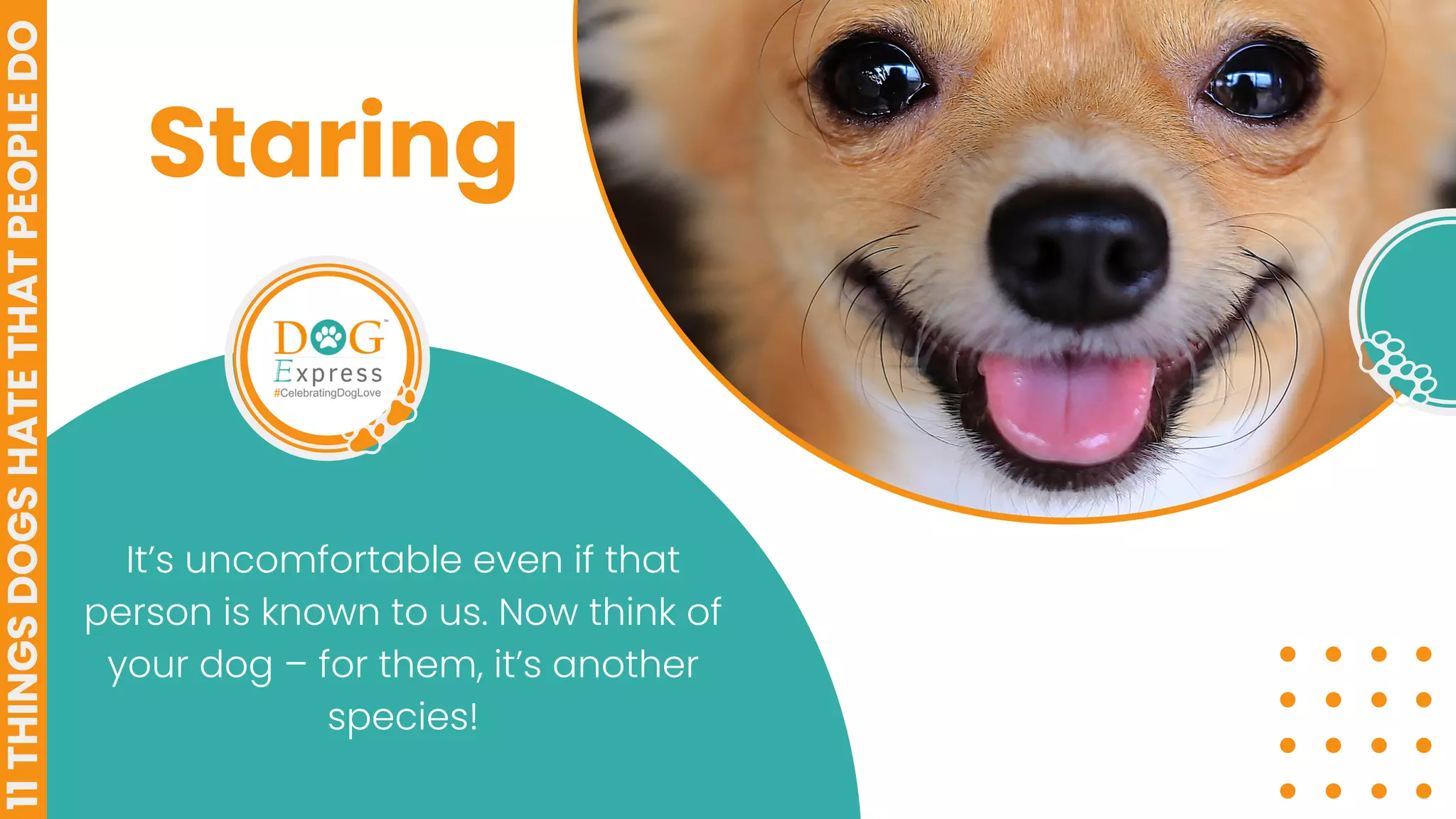 11 Things Humans Do That Annoy Dogs | PPT
