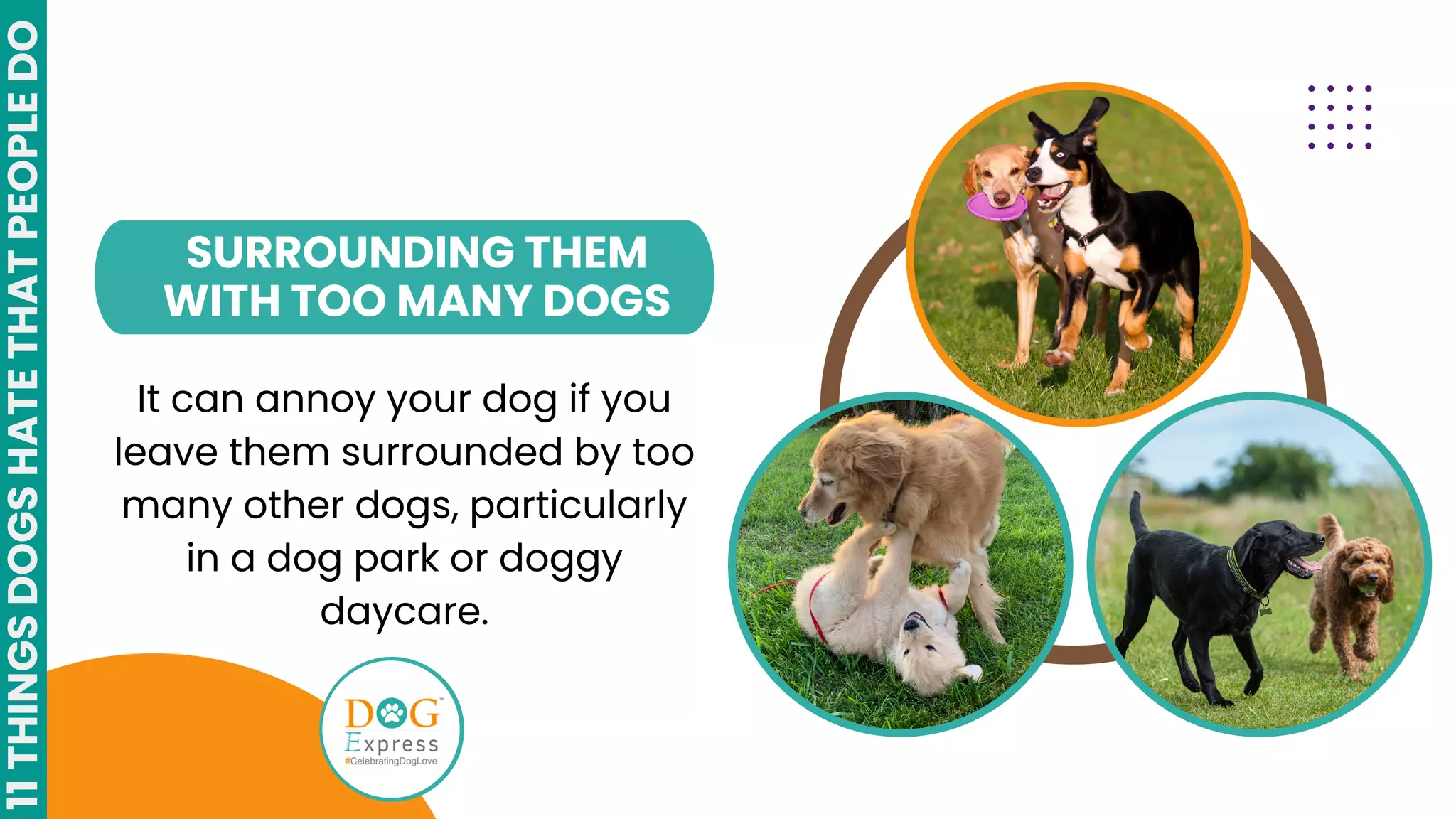 11 Things Humans Do That Annoy Dogs | PDF