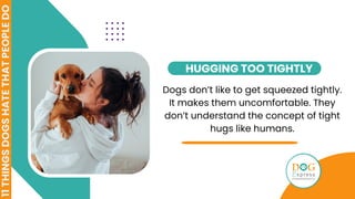 11 Things Humans Do That Annoy Dogs | PPT