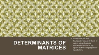 11th MATRICES PPT.pptx