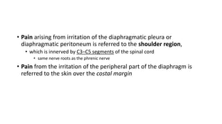 respiratoryyyyy11_Thoracic Diaphragm.pdf