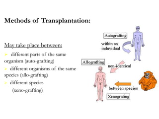 11_Transplantation_Immunity_types_of_grafts,_mechanisms_of_graft.ppt