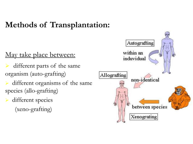 11_Transplantation_Immunity_types_of_grafts,_mechanisms_of_graft.ppt ...