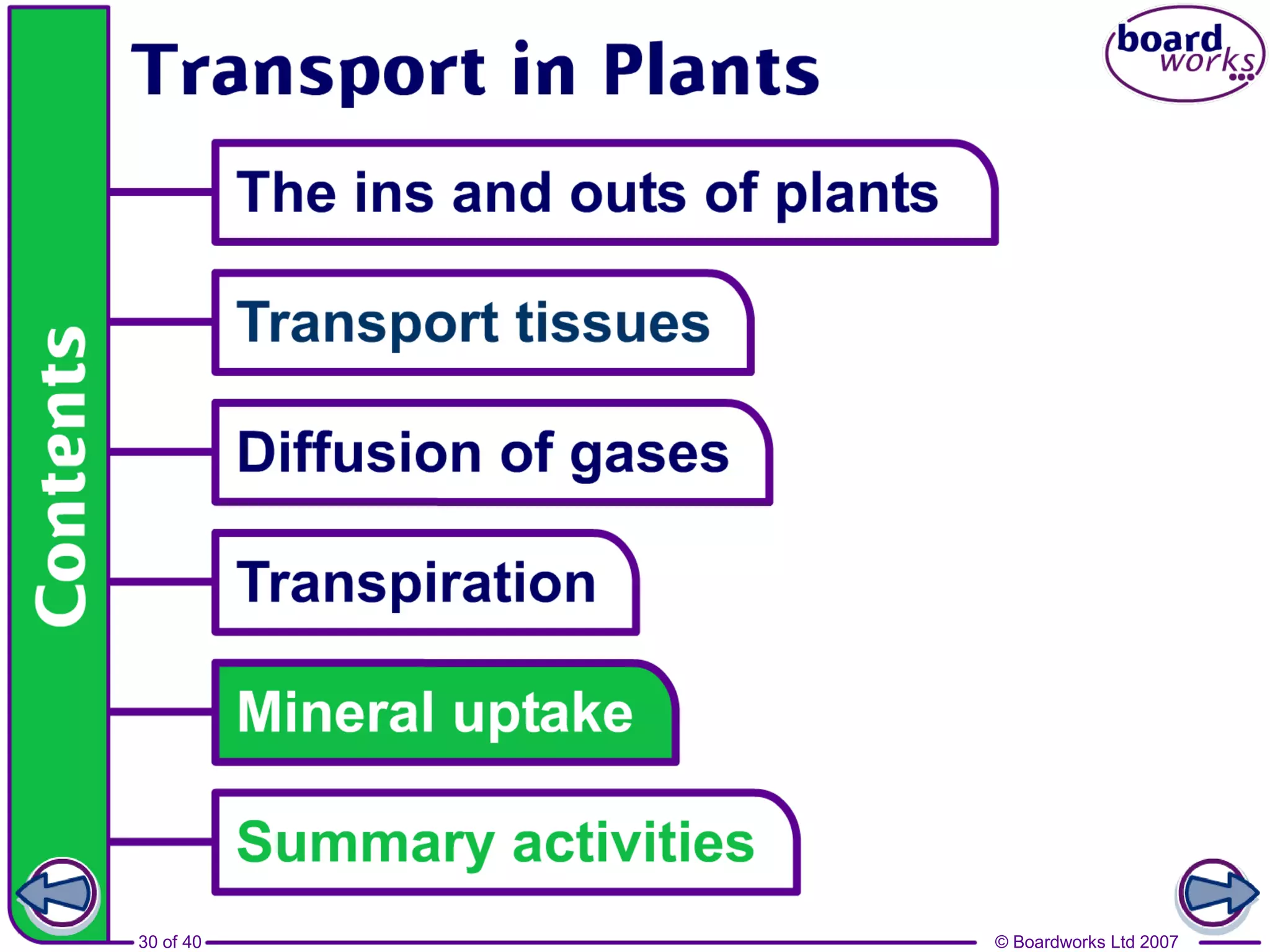 Transport in Plants | PPT