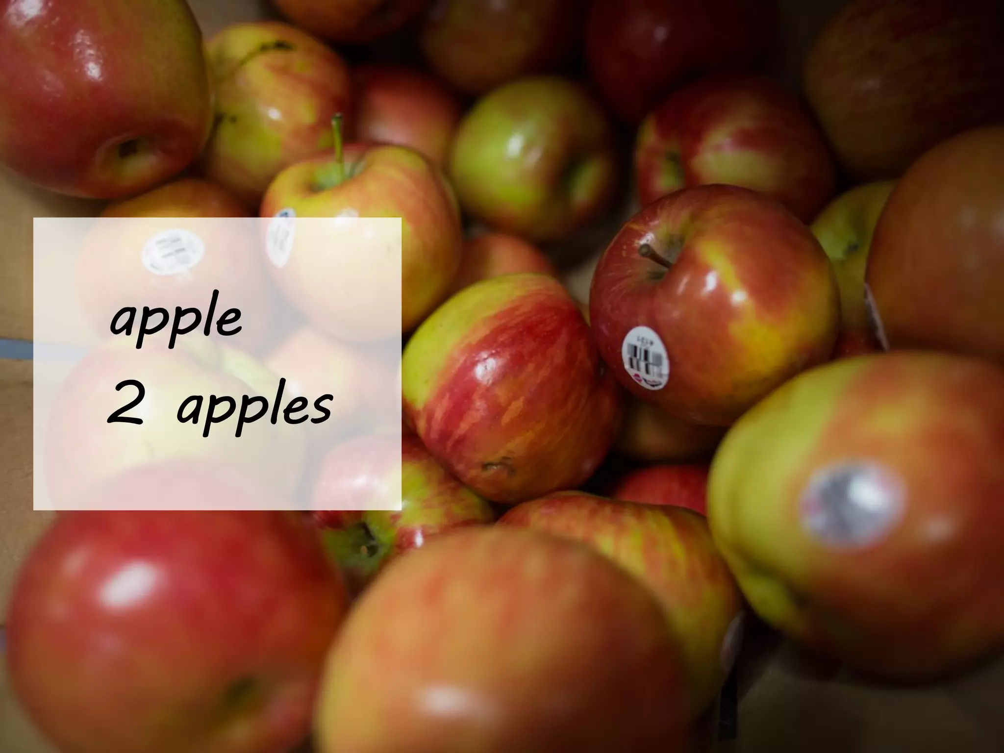 11 types of noun and how to tell them apart | PDF