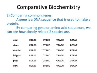 Comparative Biochemistry Examples