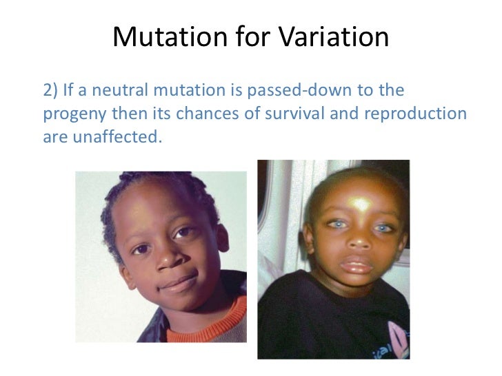 11 u mutations