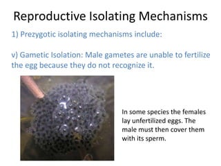 11u bio 12 | PPTX | Infertility | Reproductive Health