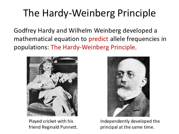 Hardy Weinberg
