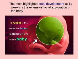 11 Weeks Pregnant: What to Expect | Pregnancy Week By Week | ODP ...