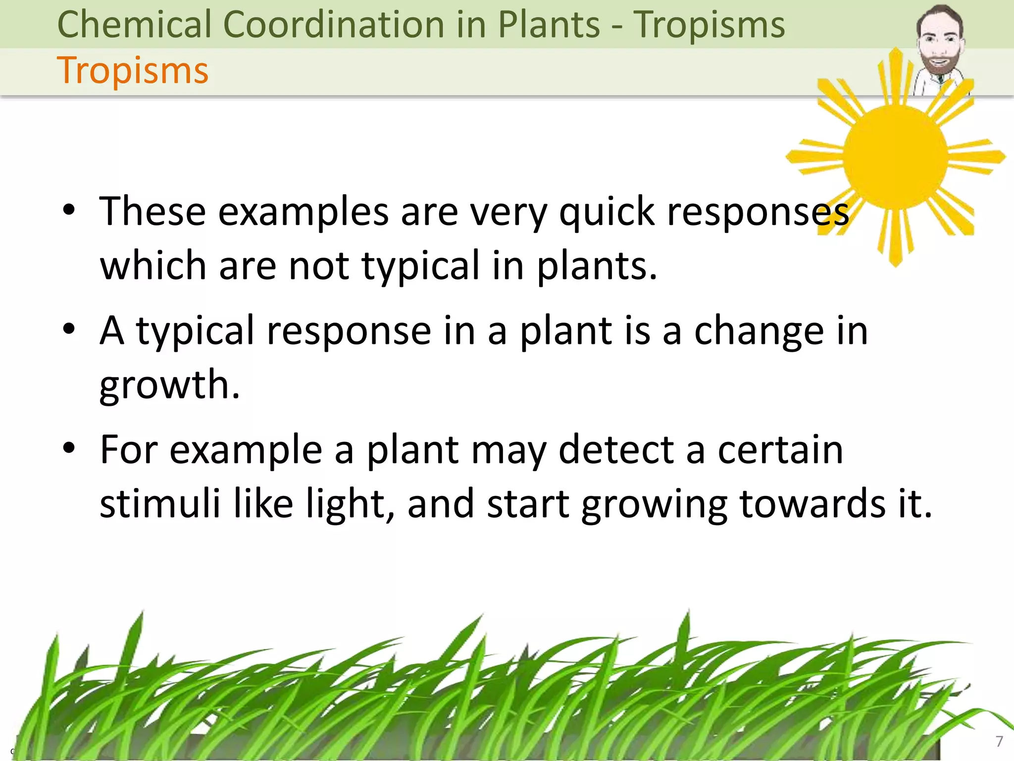 Tropic responses | PPTX