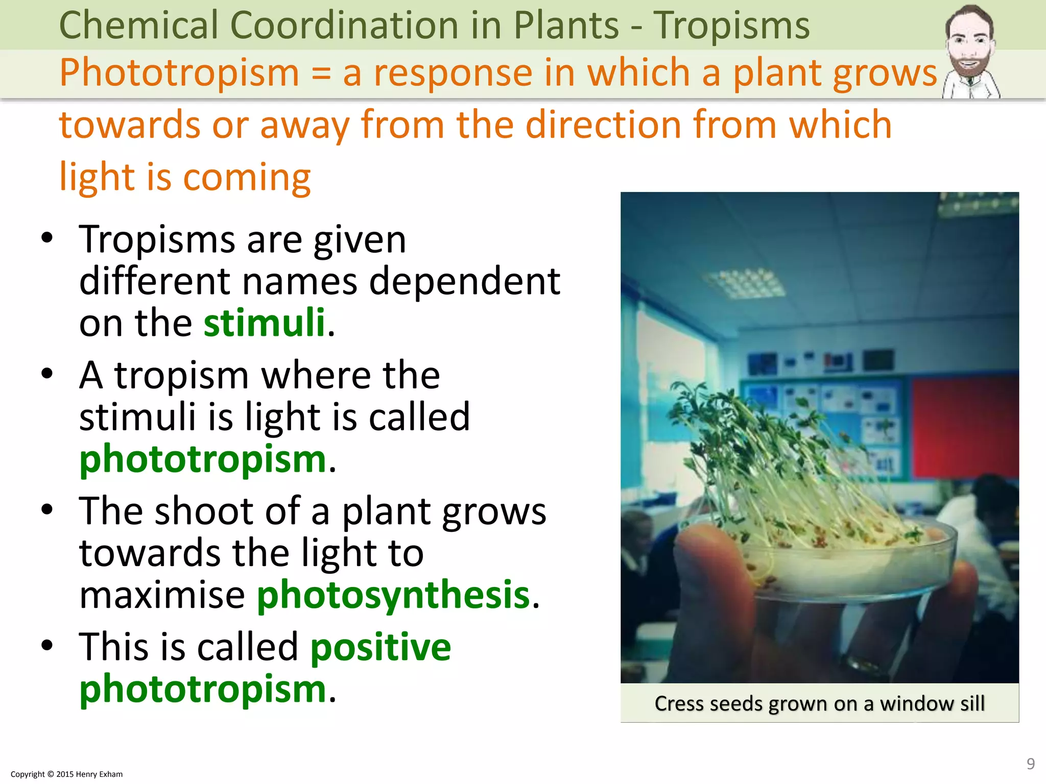 Tropic responses | PPTX