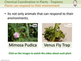 Tropic responses | PPTX
