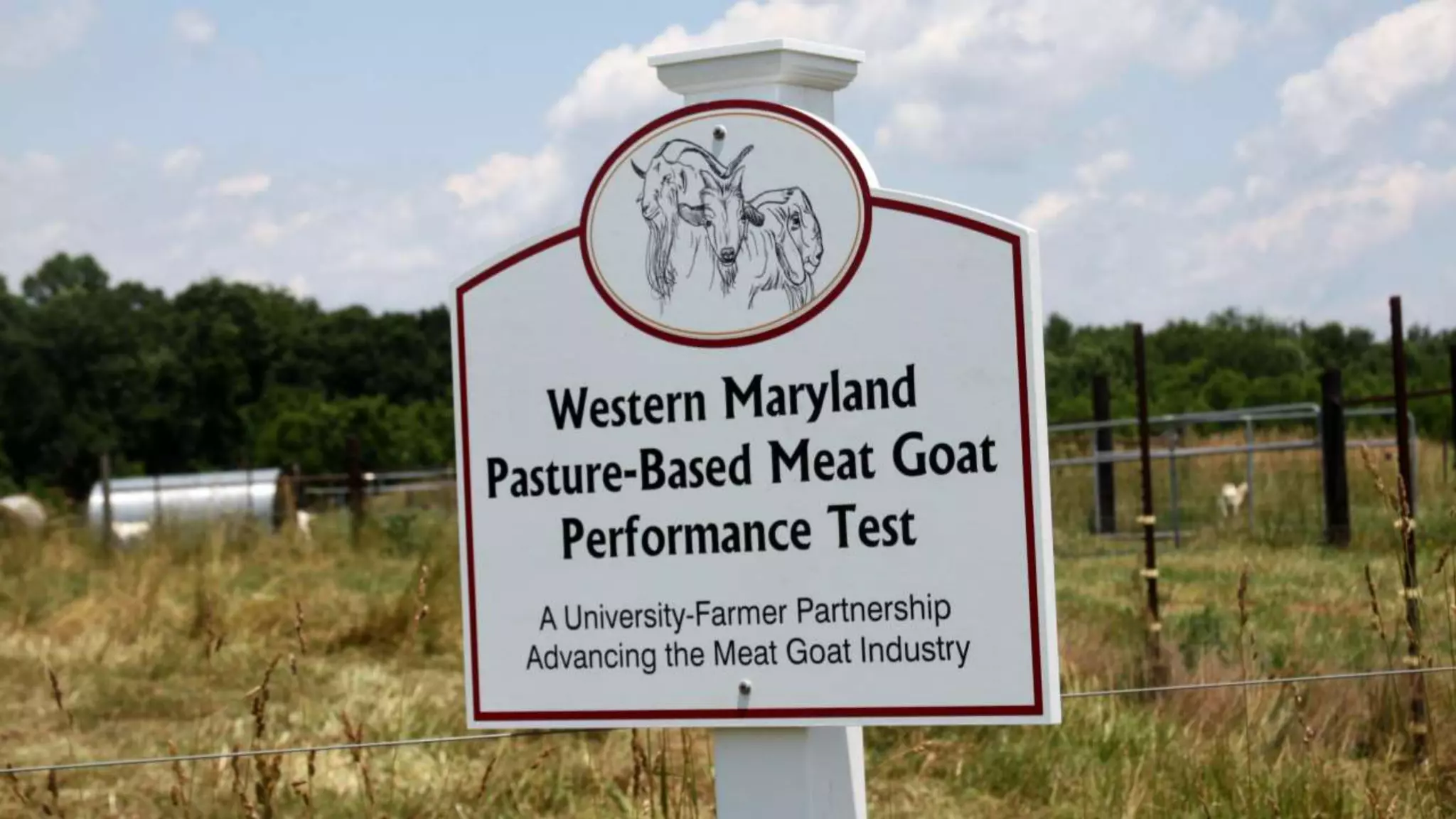 11 Years of WMD Buck Test | PPT