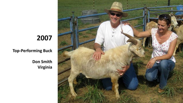 11 Years of WMD Buck Test | PPT