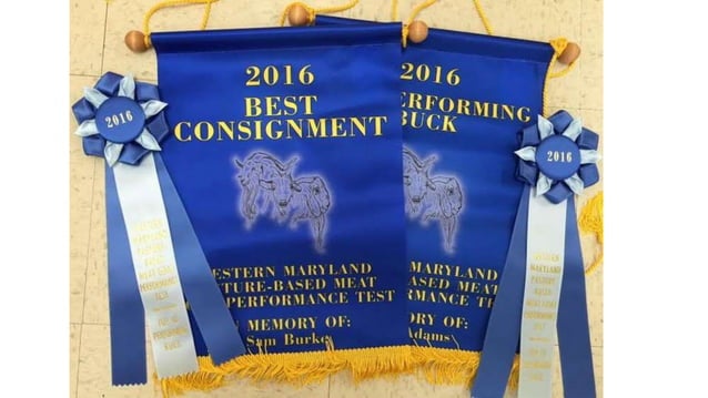 11 Years of WMD Buck Test | PPT
