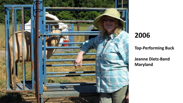 11 Years of WMD Buck Test | PPT