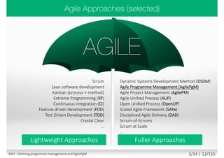 AgilePgM® - Agile Programme Management - Foundation | PDF