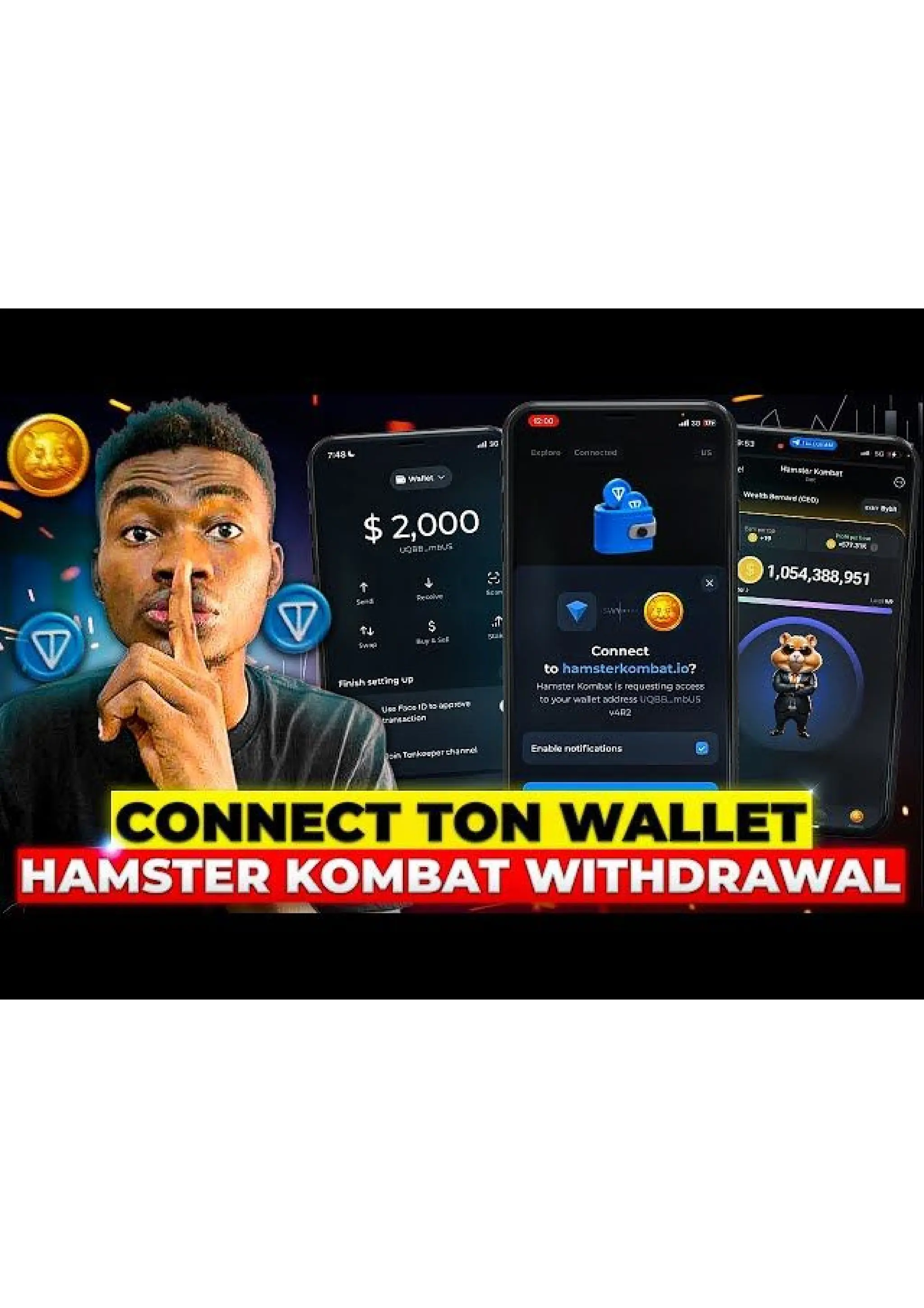 how to successfully withdraw hamster tokens to TON - WALLET | PDF