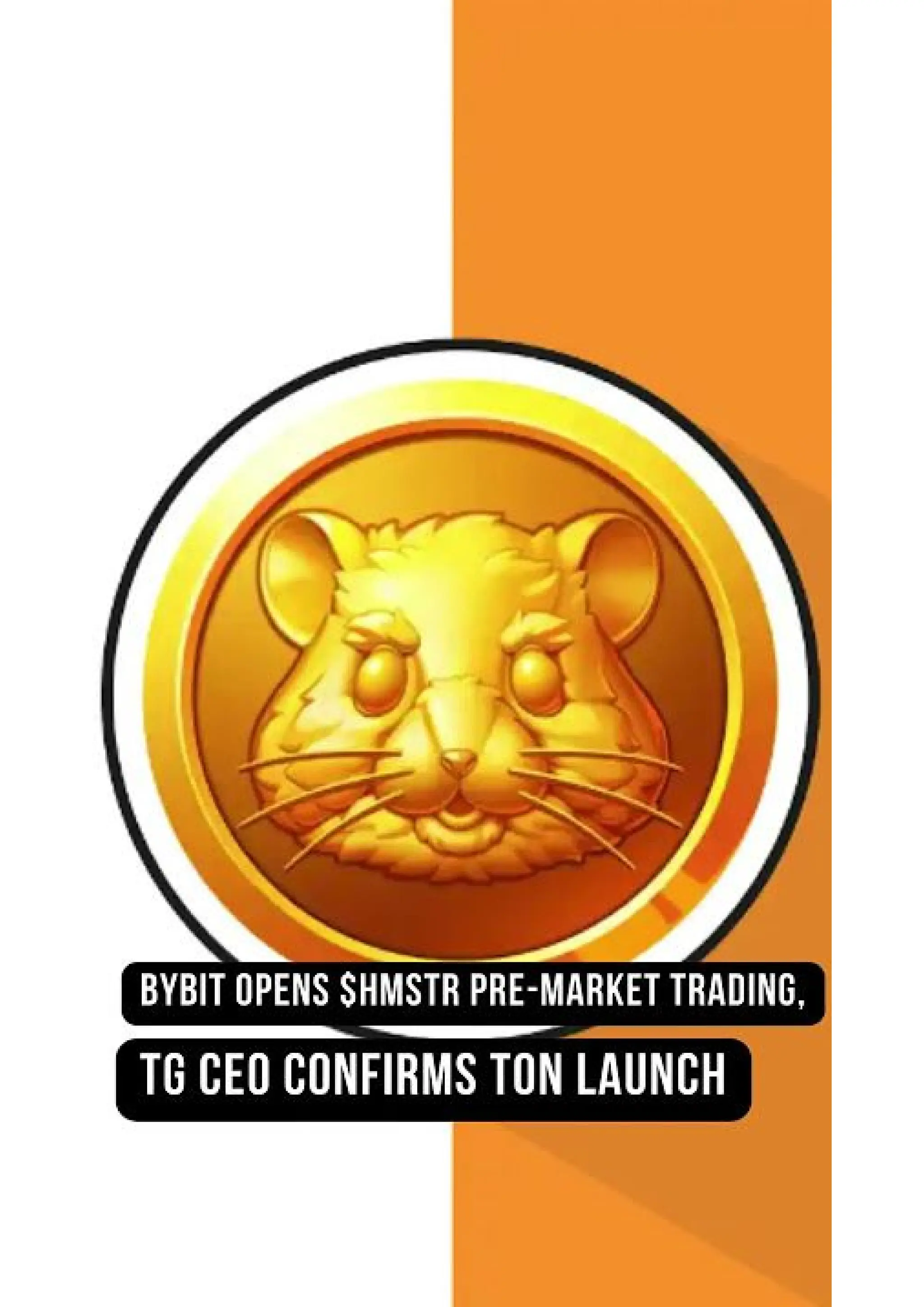how to sell hamster kombat on bybit crypto exchange. | PDF | Free Download