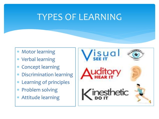 Learning process | PPT