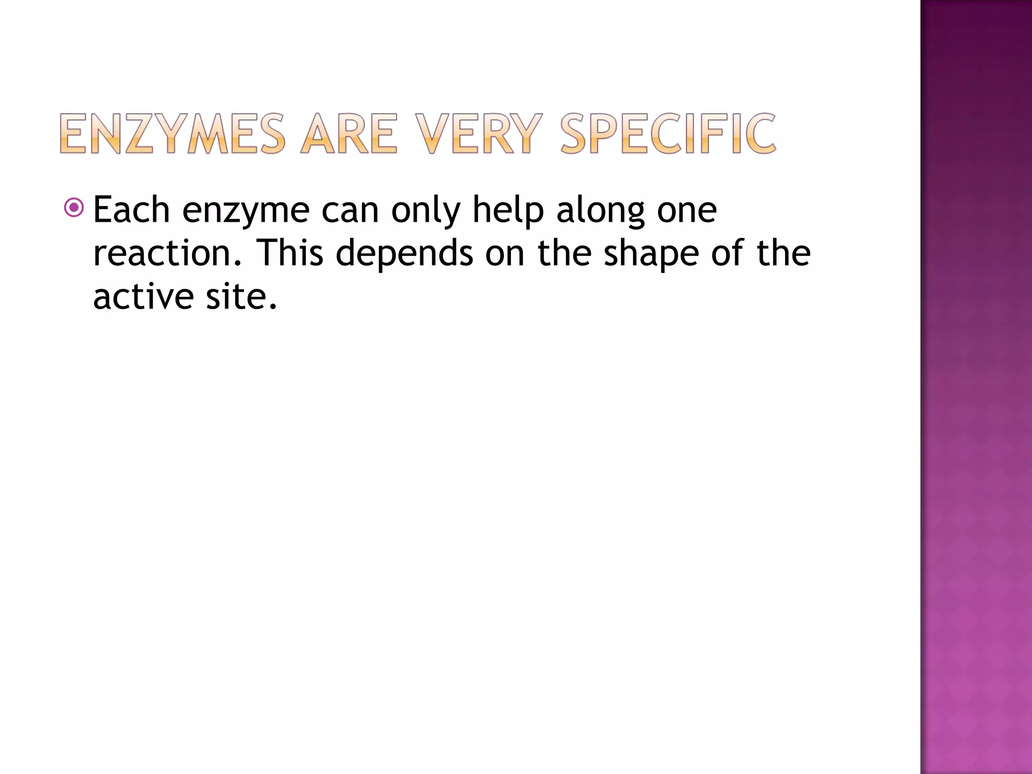 Introduction to Enzymes | PPT