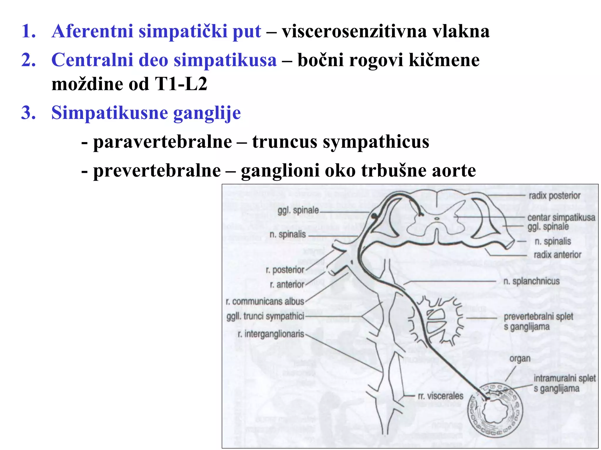 Opšta neurologija | PPT