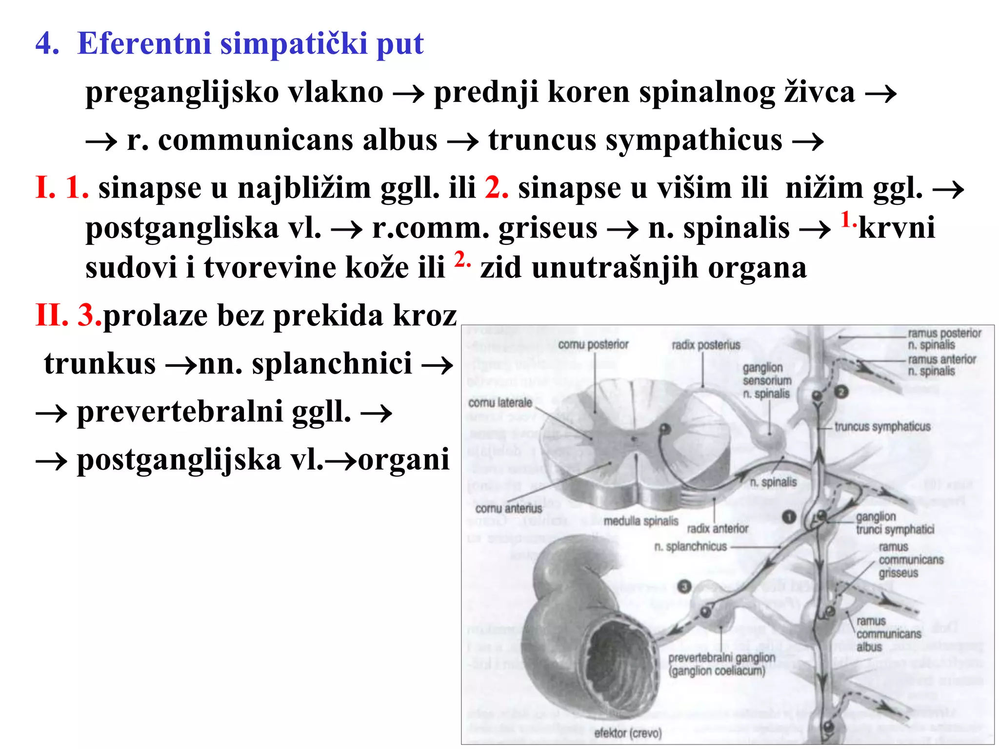 Opšta neurologija | PPT