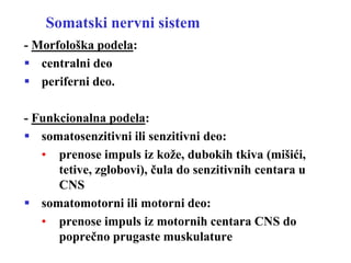 Opšta neurologija | PPT