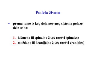 Opšta neurologija | PPT