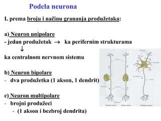 Opšta neurologija | PPT